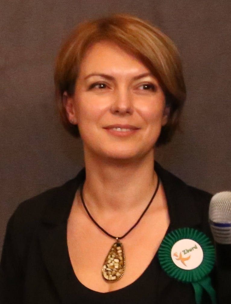 Simona David Crisbasanu - CG&GC